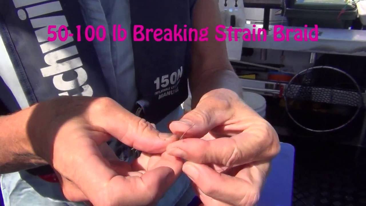 Bridle rigging a kahawai as a live bait for big fish - YouTube