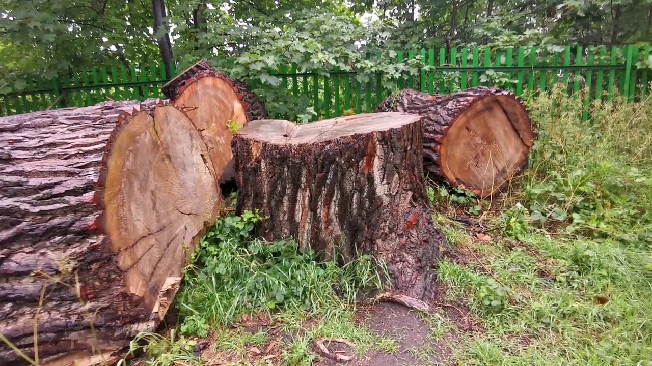 Ward end park Birmingham 18 June 2020 - YouTube