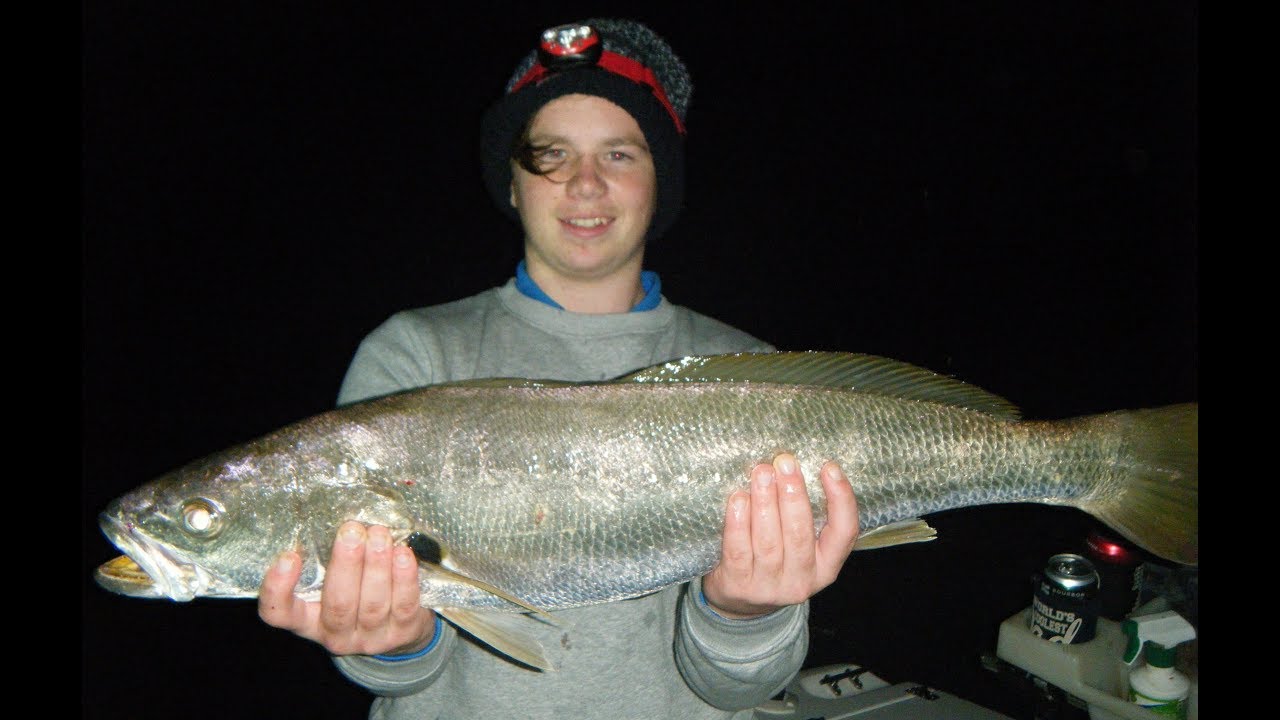 Mulloway ! Ep 12. Catching Mulloway With The Kids, Big Mullys On Live ...