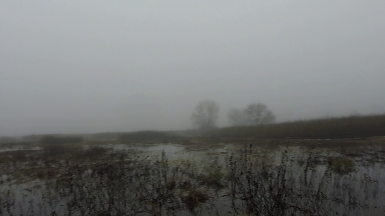 Duck hunting sutter bypass Sacramento ca - YouTube