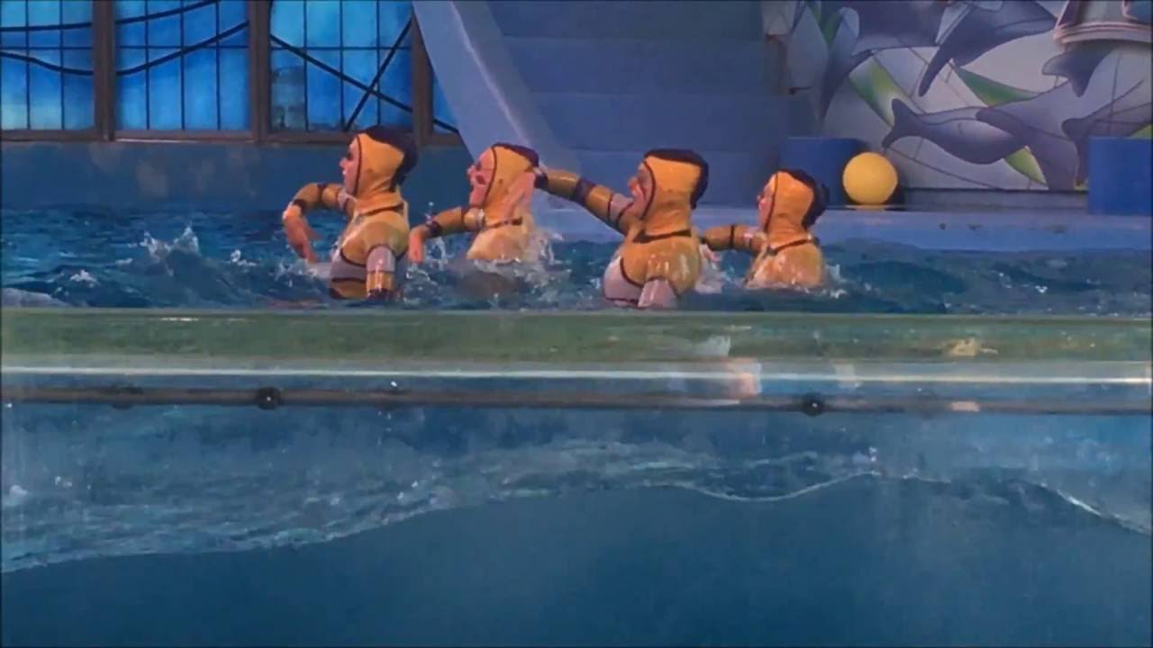 Sea World Azul Show Part 1 - YouTube