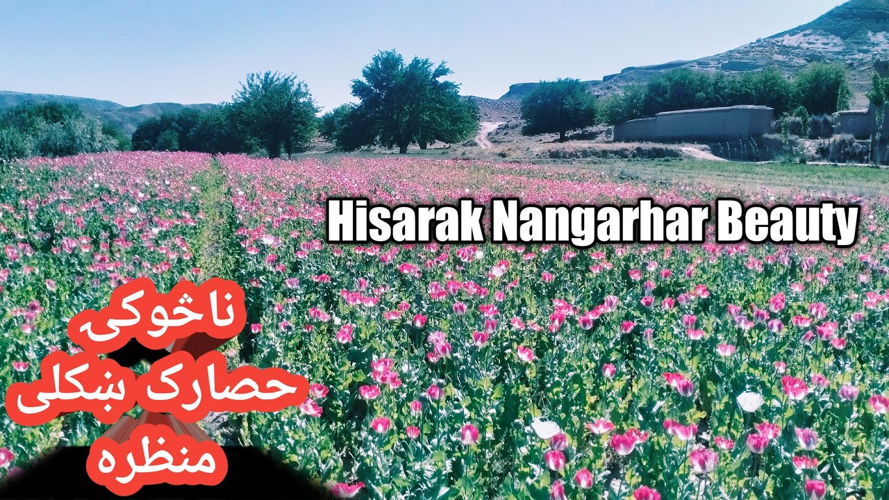 Hisarak Nangarhar Rural Life | Hesarak | حصارک ننګرهار ښکلی منظره ...