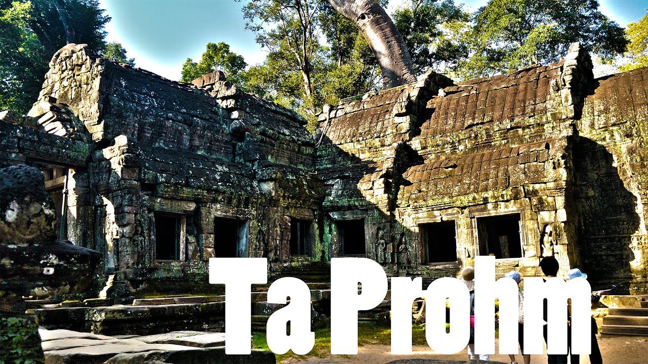 Ta Prohm Temple Tour Highlight - YouTube