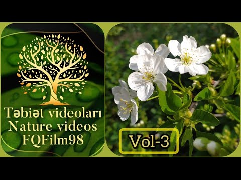 YAZ FESLI TEBIET VIDEOLARI VOL-3 FQFilm98 #fqmus98 #yazfesli #spring