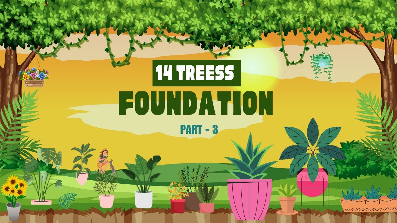 14 TREES FOUNDATION 🔥! A Trip To 14 Trees Punes Hidden Place | - YouTube