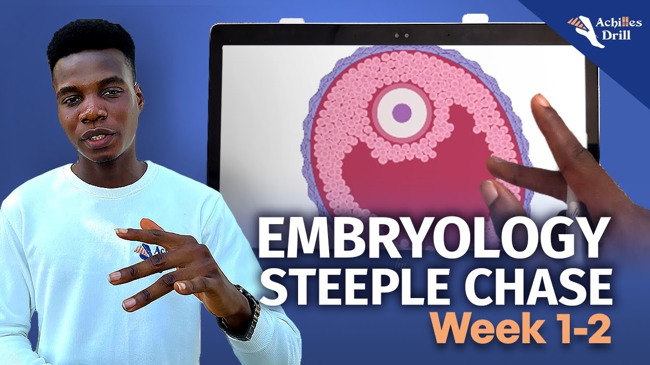 1ST AND 2ND WEEK OF DEVELOPMENT (EMBRYOLOGY STEEPLECHASE QUESTIONS ...