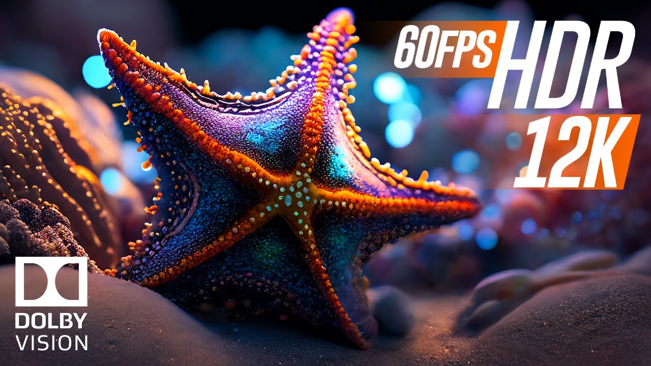 12K HDR 60fps Dolby Vision® | Stunning Clarity and Vivid Colors - YouTube