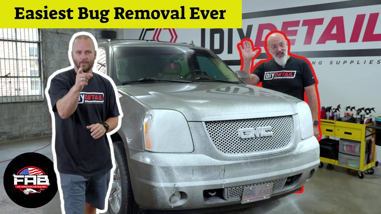 Touchless and Easiest Bug Removal Method Ever! - YouTube
