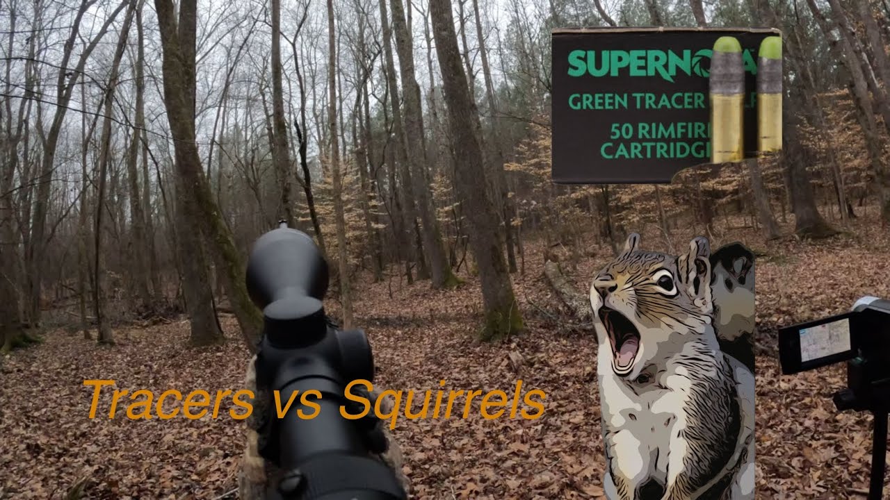 Squirrel Hunting with .22lr TRACER Rounds! *SUPERNOVA BRIGHT* - YouTube