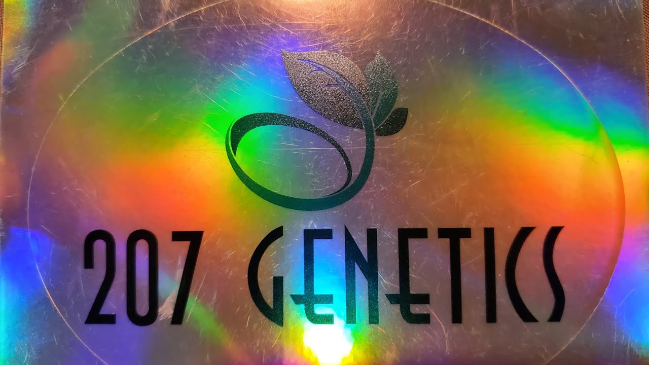 207 genetics review! best seedbank in the US that I've used super fast ...