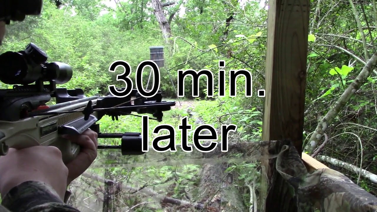 Hog Hunt hit and miss - YouTube