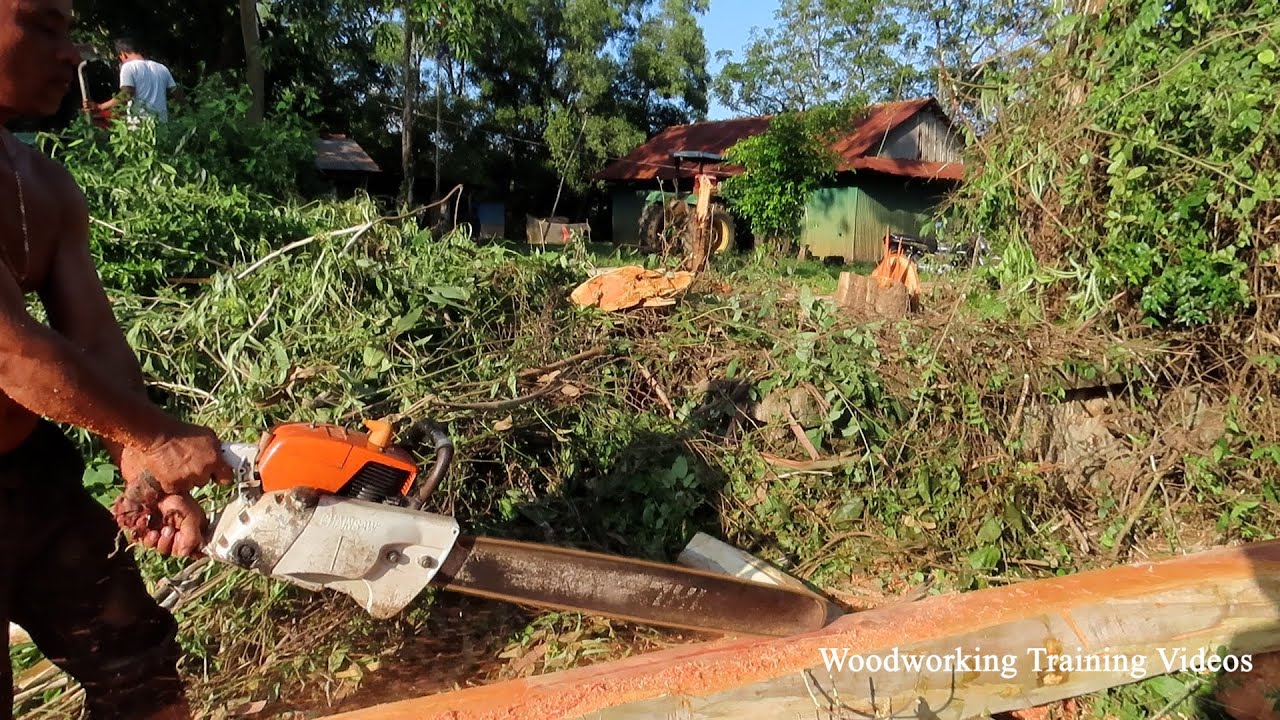 Old STIHL Chainsaw MS720 Cutting Dead Trees In Forest! Red Woodworking ...