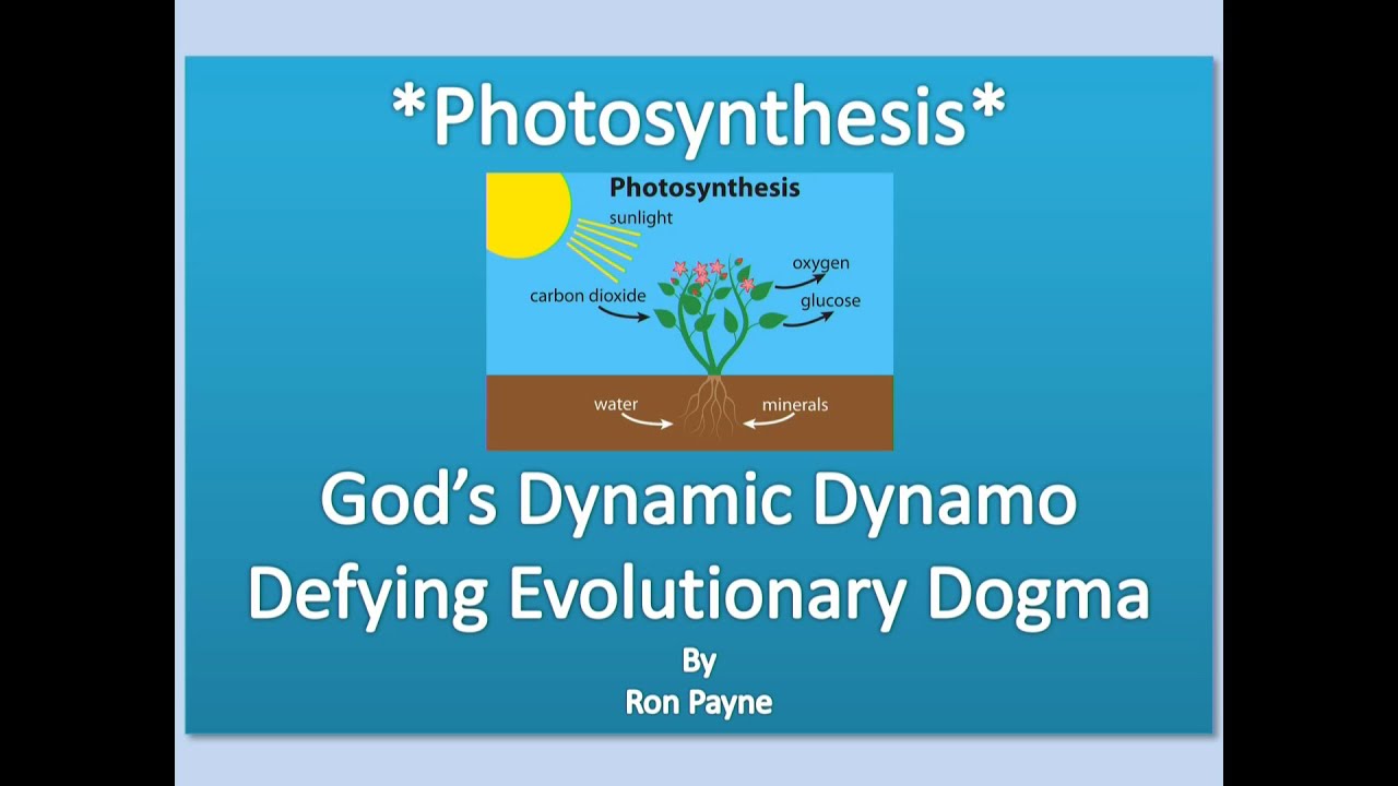 Photosynthesis: Another Evolutionary Dilemma or A Designed Dynamic ...