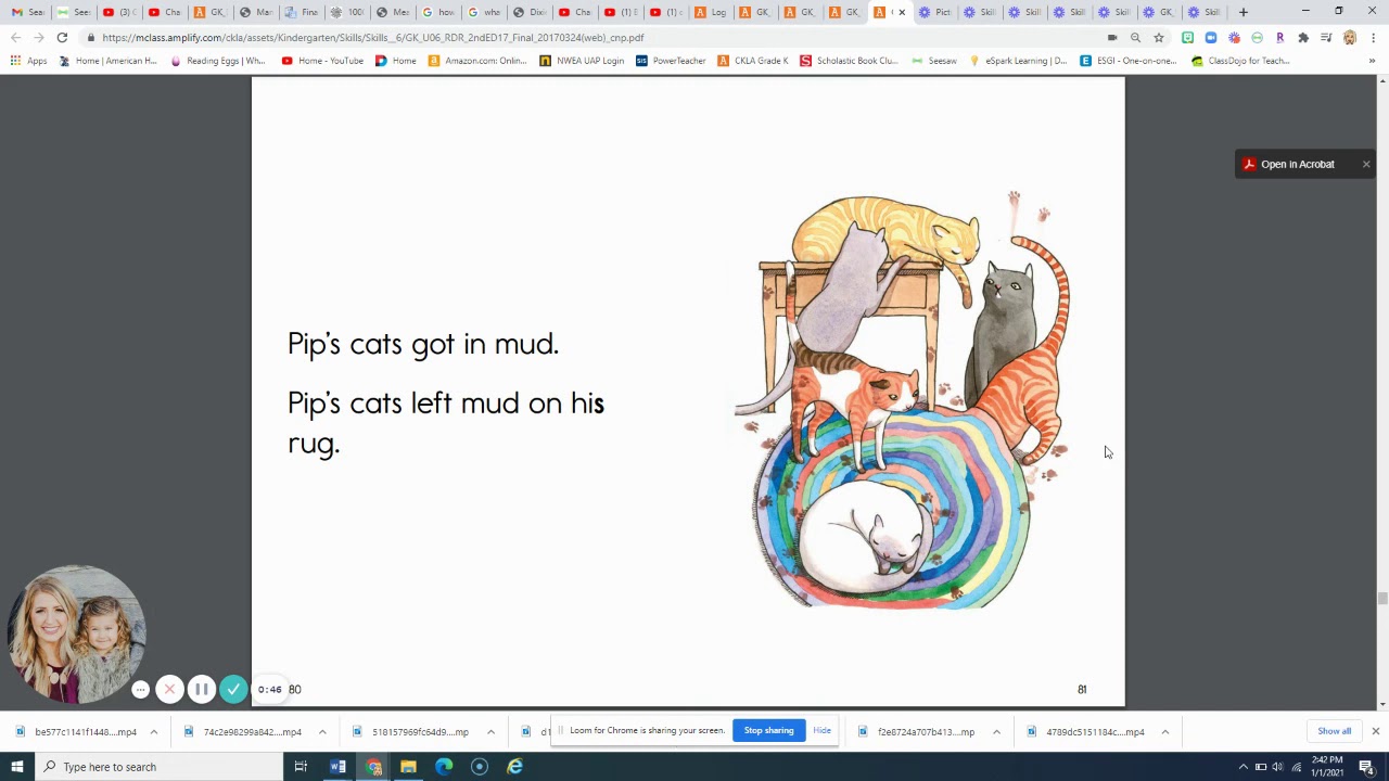 CKLA Skills 6 Big Book/Reader - Pip's Cats - YouTube