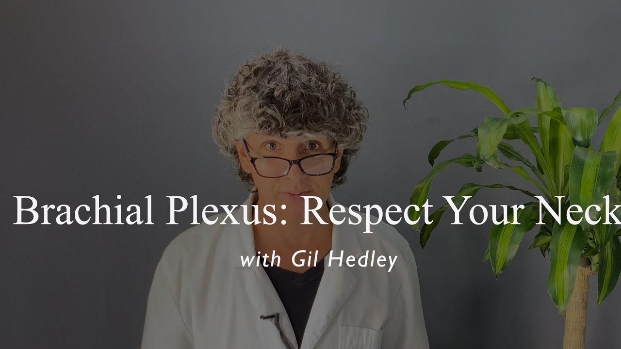 Brachial Plexus - Respect Your Neck: Learn Integral Anatomy with Gil ...