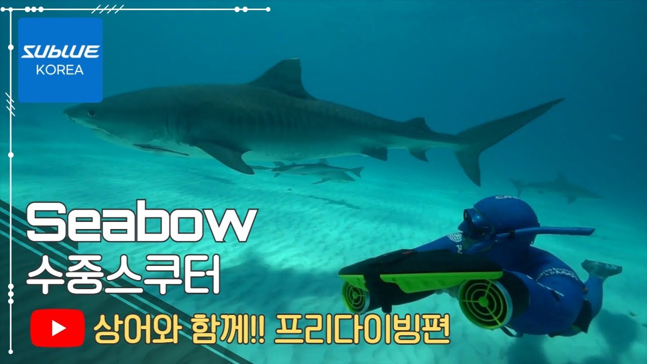 수중스쿠터 Sublue Seabow & Navbow [상어와 함께!! 프리다이빙편] - YouTube