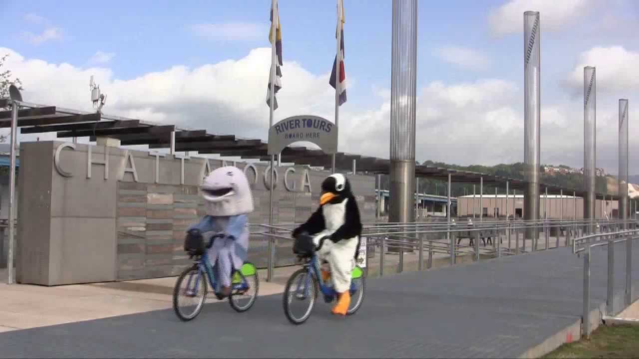 "Bad Bikers" - Penguin and Catfish Riding Bicycles in Chattanooga - YouTube