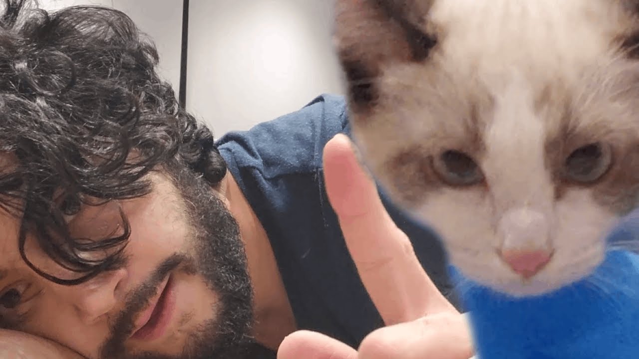 ¡Por Fin Regresé a Hacer Ejercicio! y Los Michis Hacen Esto Mientras ...