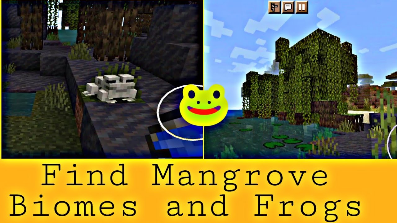 Find Mangrove Biomes and breed frogs || MinecraftPe V1.19 - YouTube