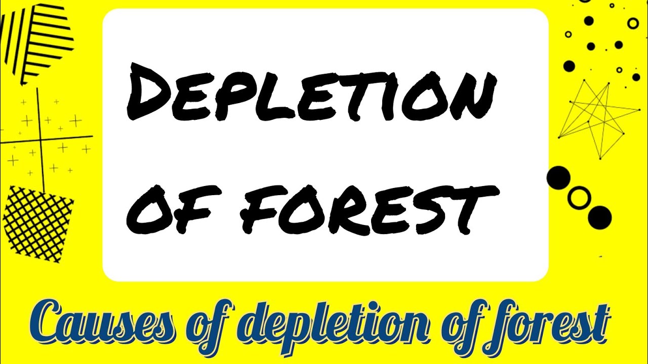 Depletion of forest || Causes of forest depletion || Natural resources ...