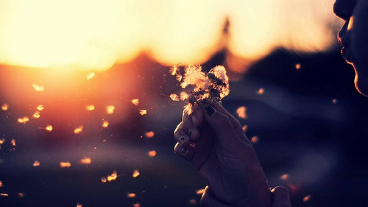 Everything Can Change - Gotthard (Sub Español)(Lyrics) - YouTube