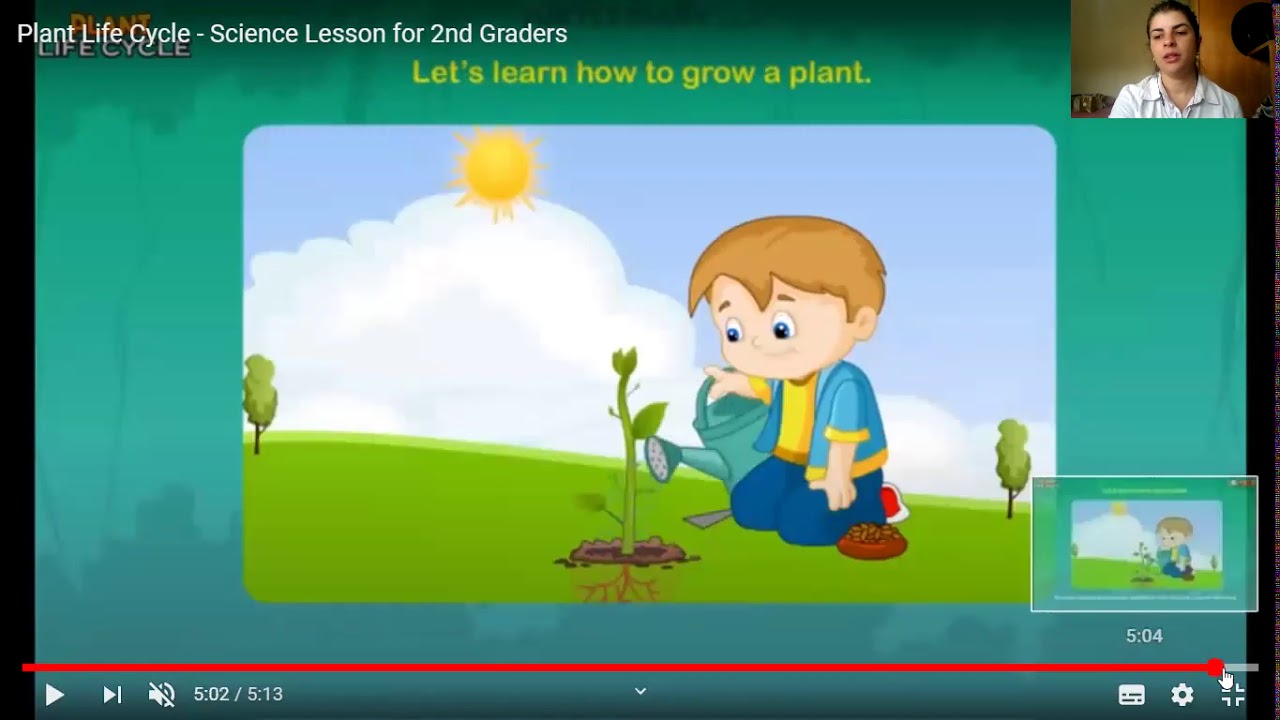 Year 2 science lesson 12 - YouTube