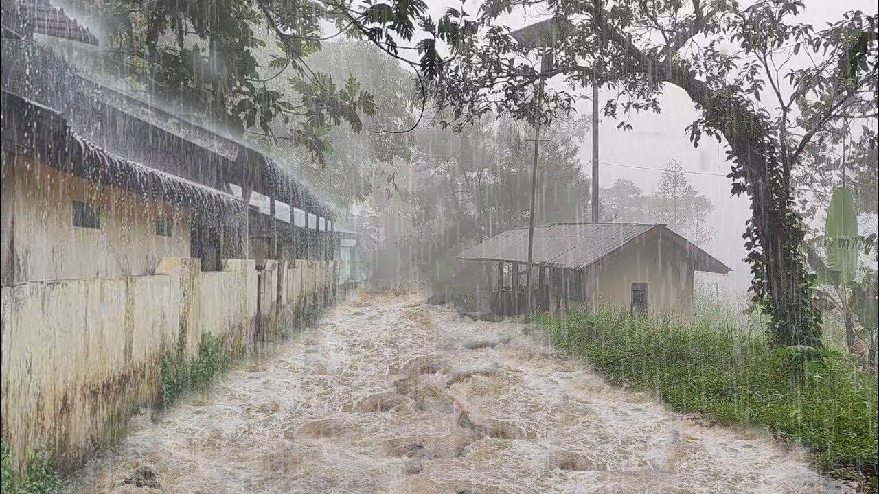 Super heavy rain and thunderstorm in village life never stops, walk in ...