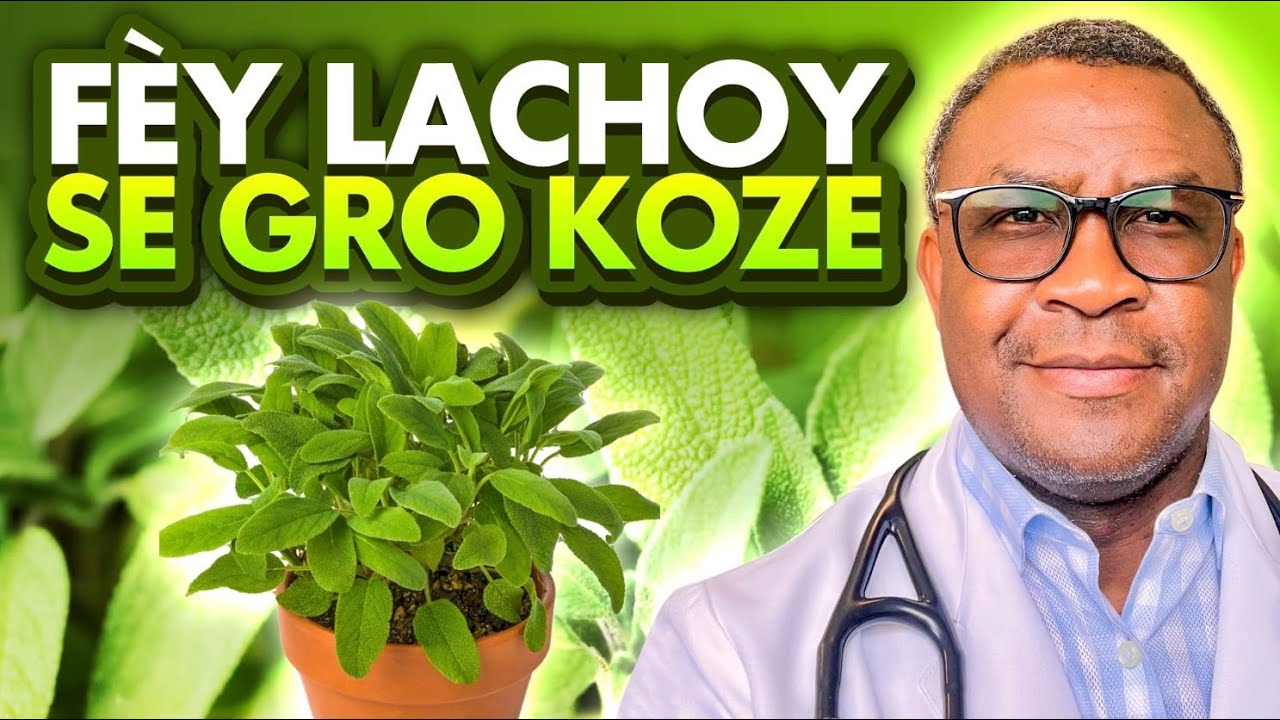 Lachoy ap ede w prevni 5 gro maladi. - YouTube