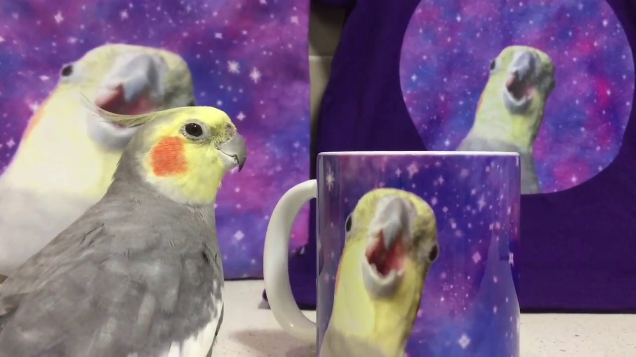 Alex Merch is here! - YouTube