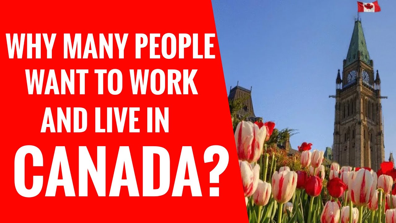 WHY MANY PEOPLE WANT TO WORK AND LIVE IN CANADA? - YouTube