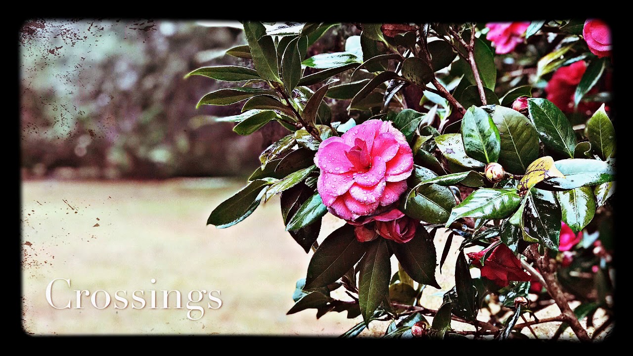 Montesk - Crossings - YouTube