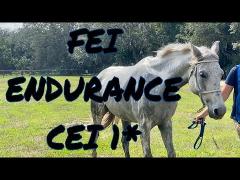 FEI Endurance US | CEI 1* 65 miles | Spruce Creek FL