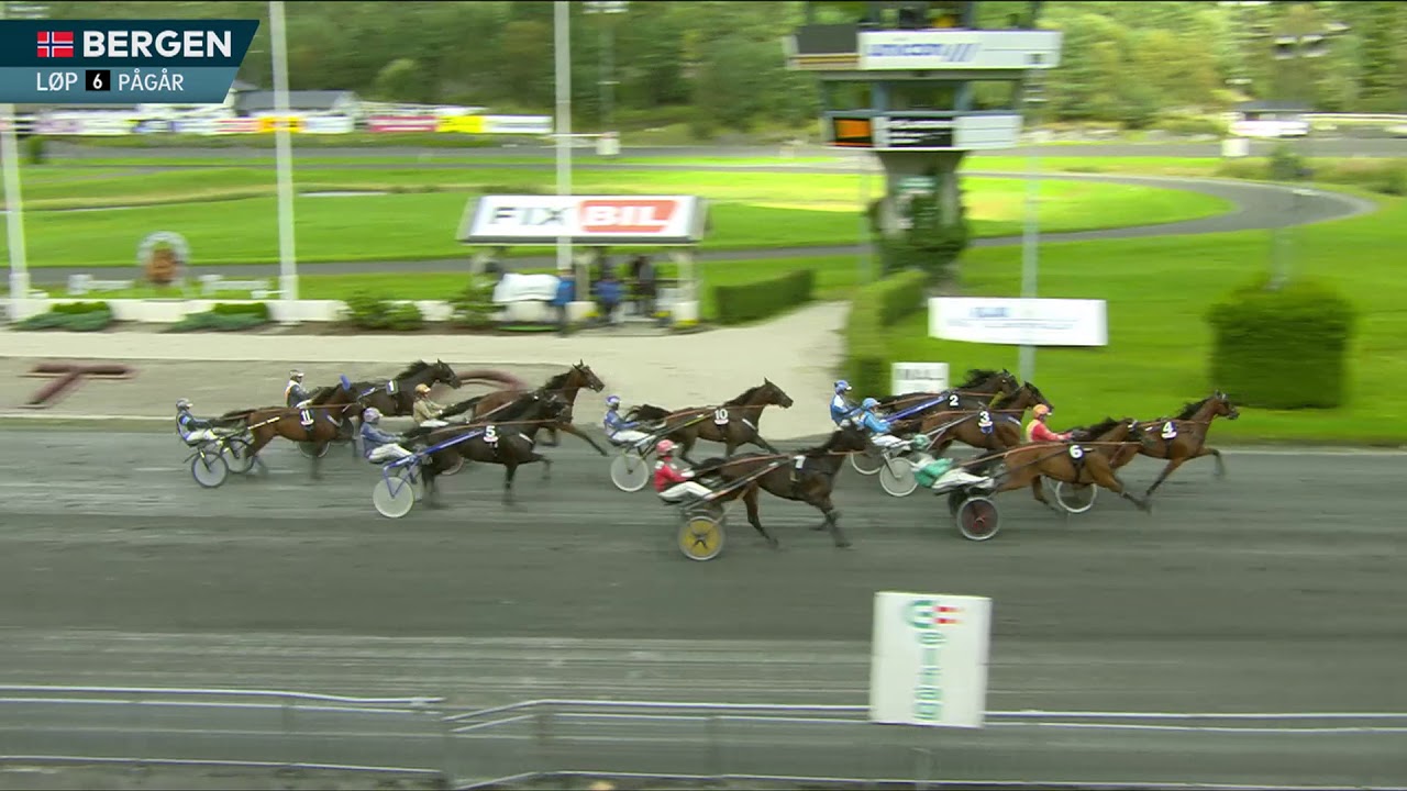 V75 på 30 minutter 17. august 2019 - YouTube