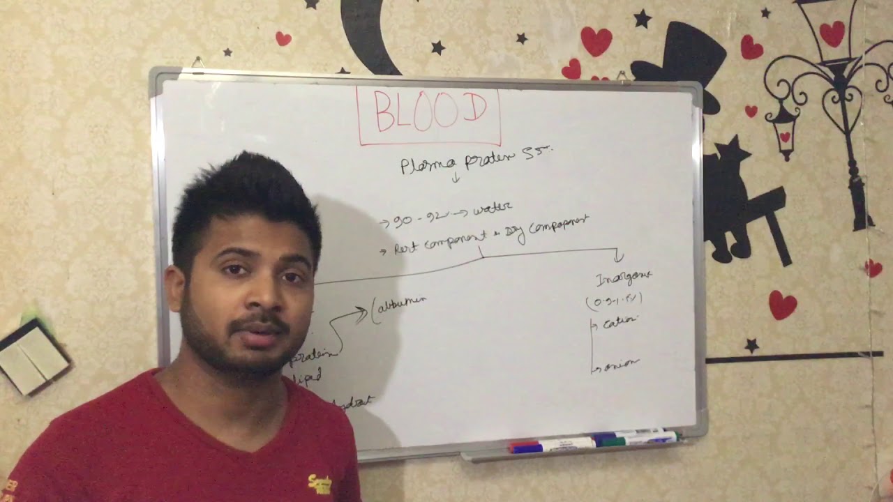 Introduction about BLOOD - YouTube