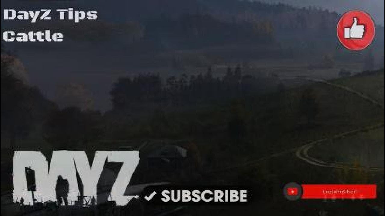 DayZ Tips - Animals Cattle - YouTube