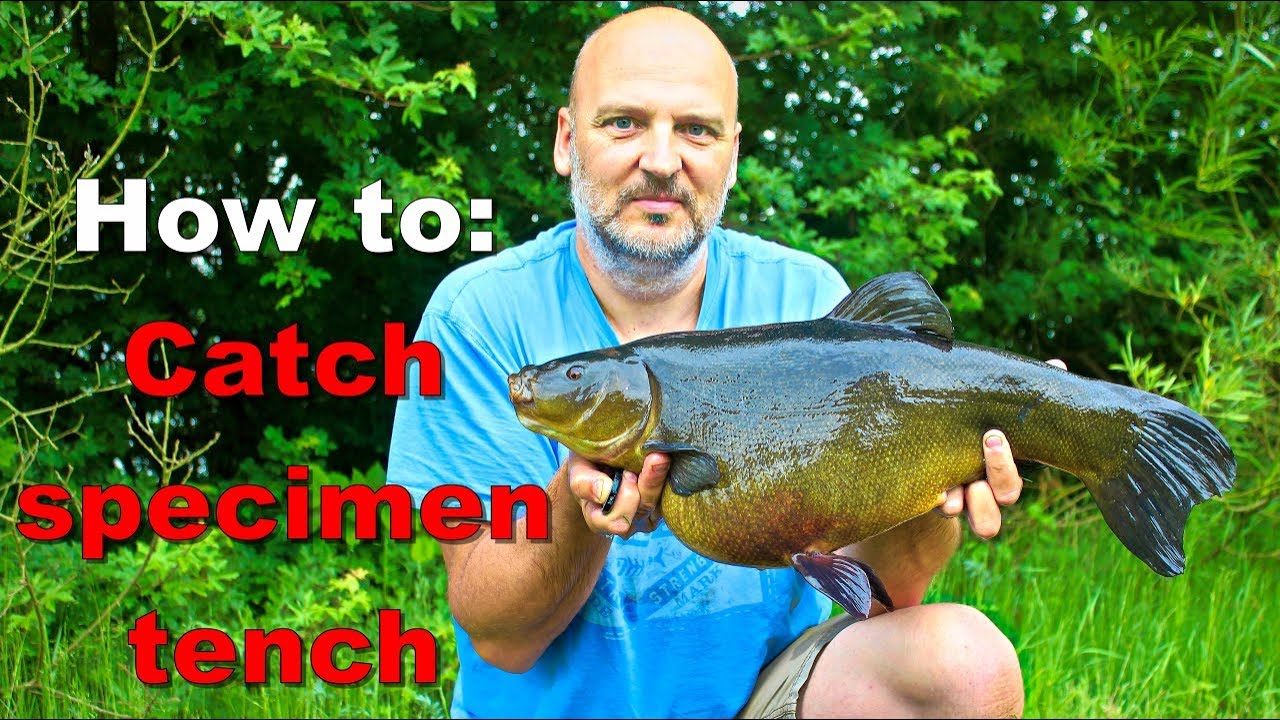 Tench fishing how to: Maggot helicopter rig - YouTube