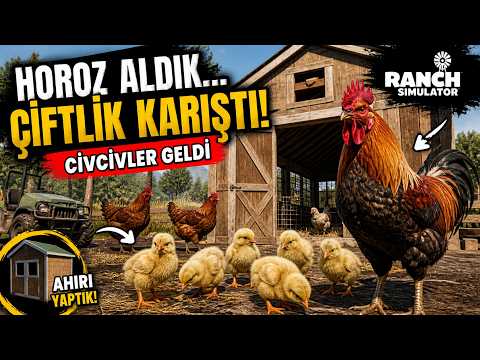 Horoz Aldık… Çiftlik Karıştı! Civcivler Geldi  | Ranch Simulator