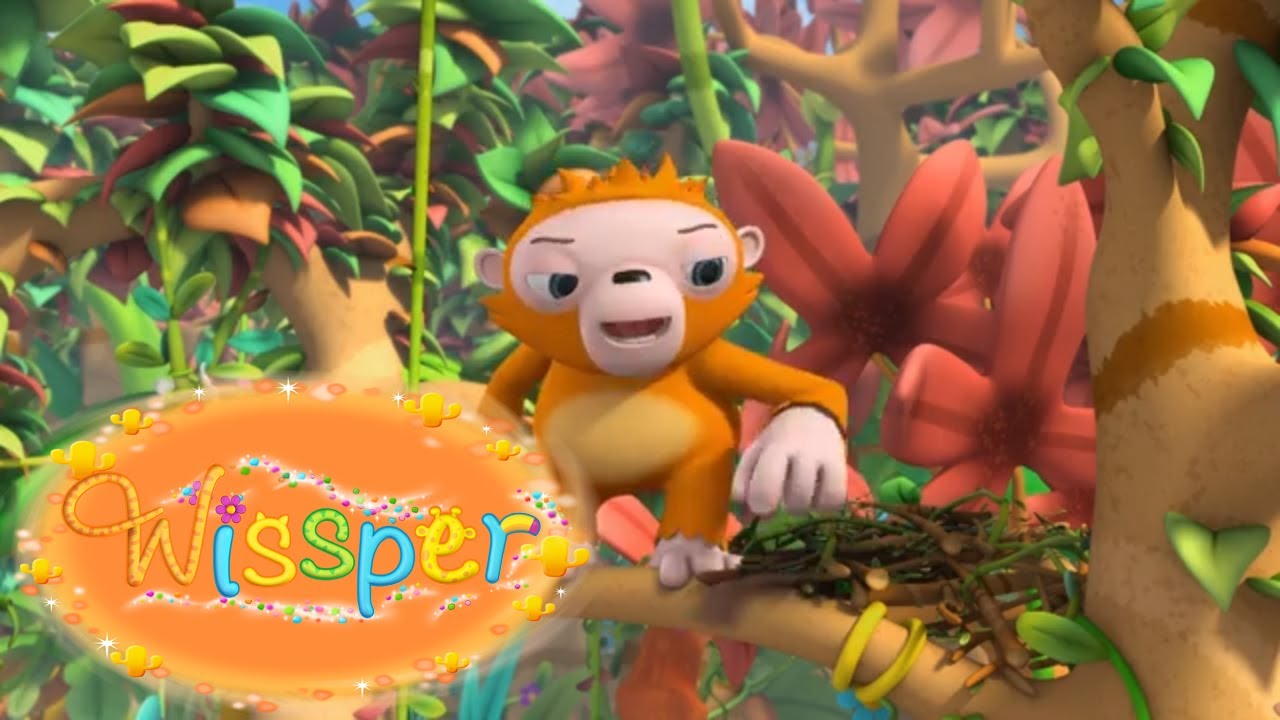 Wissper and the rainforest - Wissper - YouTube