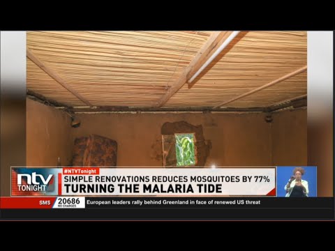 KEMRI: Low-cost housing modifications can cut malaria mosquito populations by 77% in endemic regions