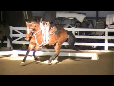 Jenn and Her Mustang Kiss Me Kate - YouTube