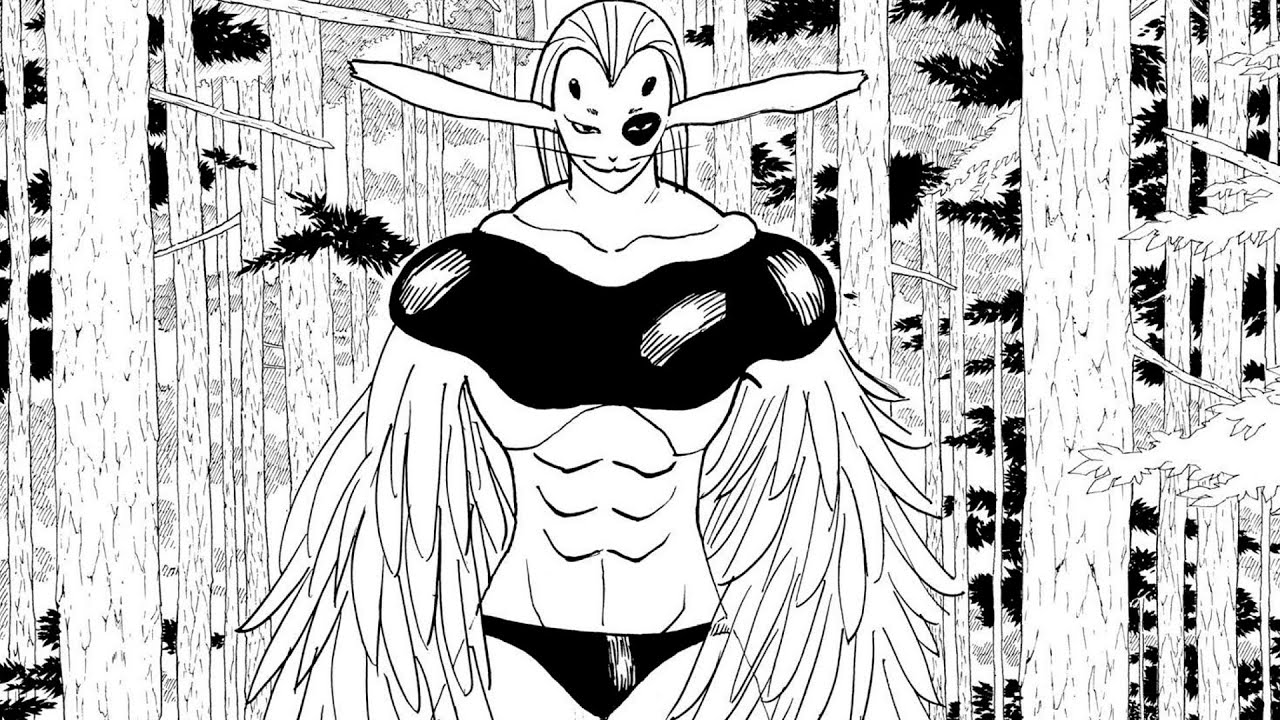 Hunter x Hunter | Chapter 191: Pros - YouTube