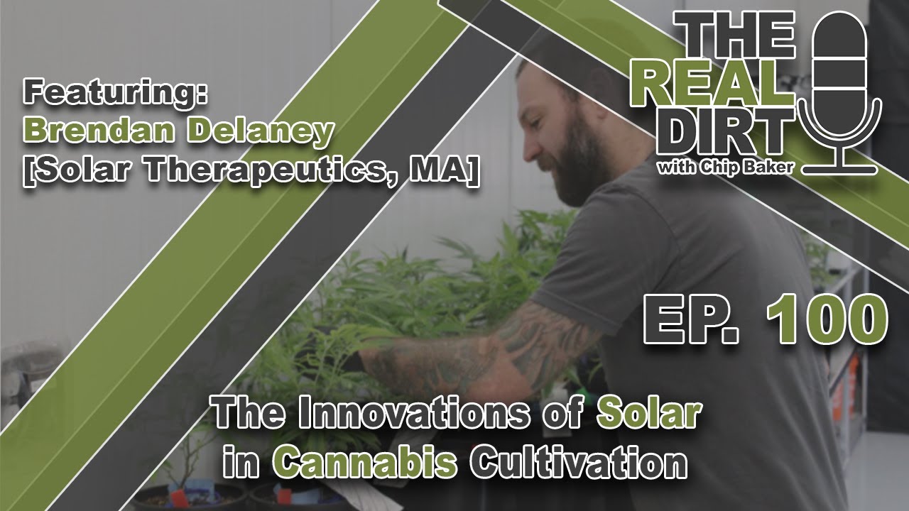 Solar Power and Sustainable Cannabis Cultivation with Brendan Delaney ...