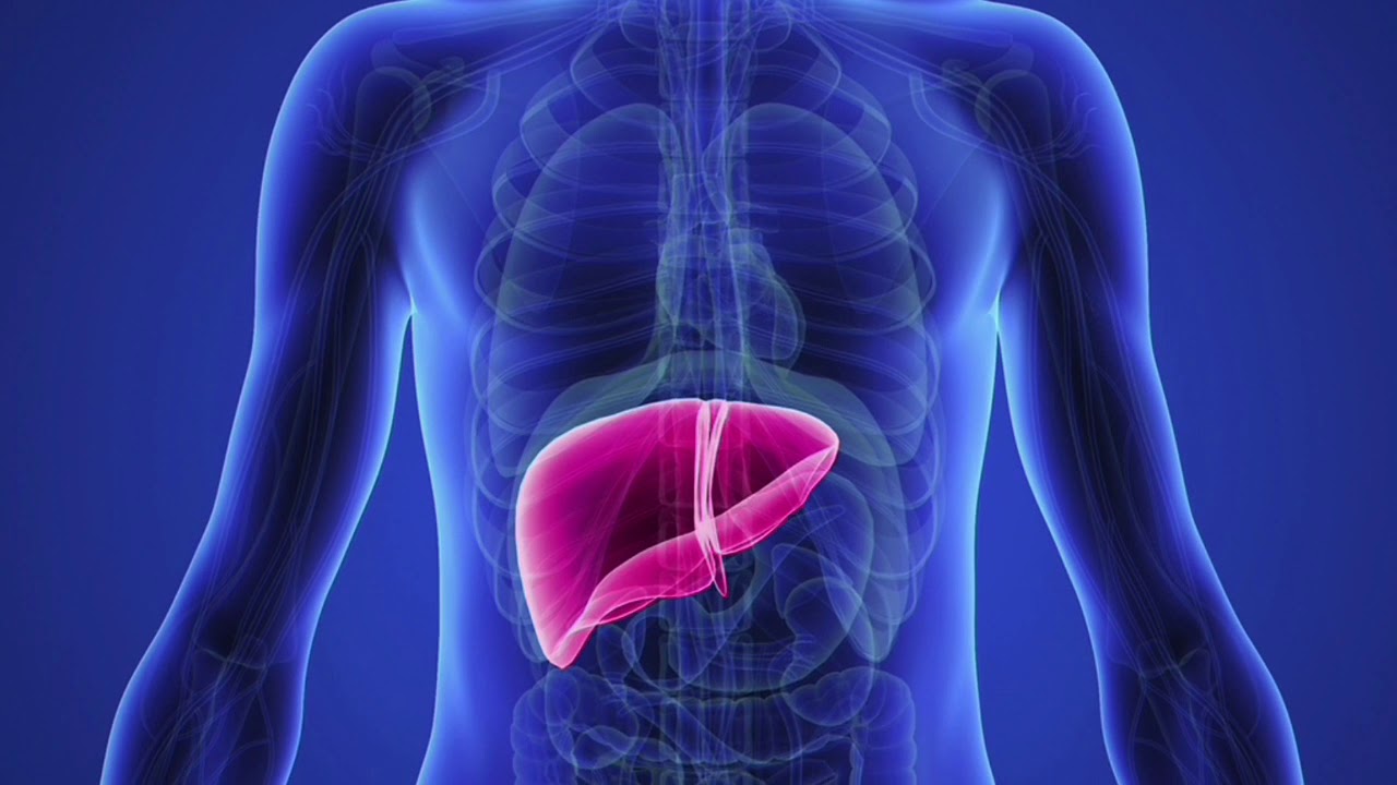 Floyd: The Story Of A Liver Fluke And The Boy Who Loved Him - YouTube