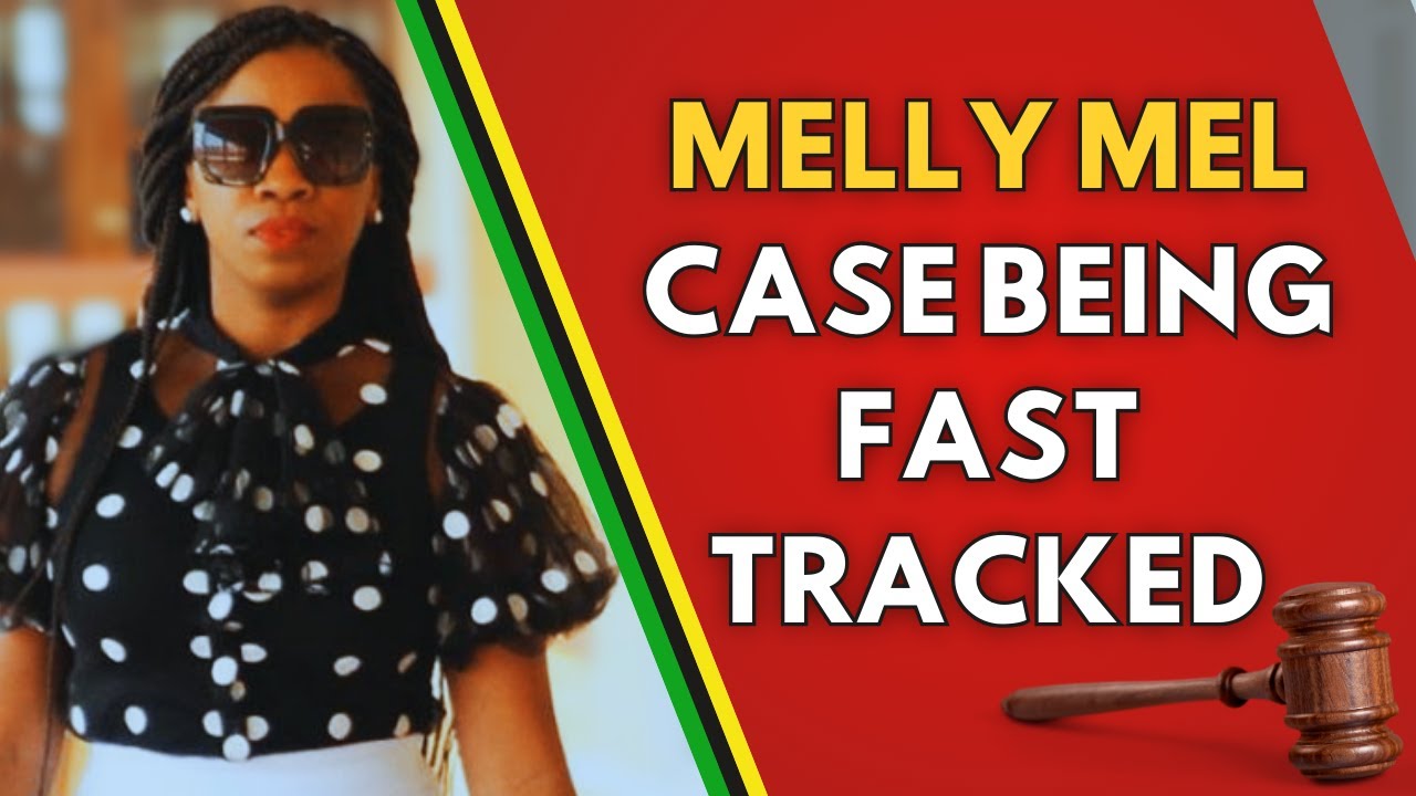 REASONS Melly Mel’s Case on Fast Track: US ICE Immigration Court - YouTube