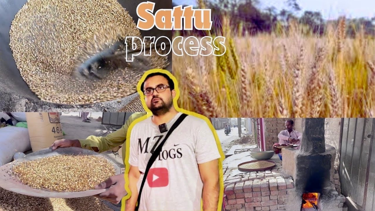 ORGANIC SATTU | The process of making Sattu | MZ Vlogs #satturecipe #drink #mzvlog - YouTube