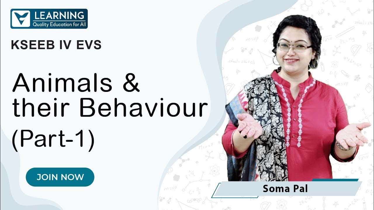 Class 4 EVS KSEEB | Class 4 Honey Sweet Honey | By Soma Pal | Vista's Learning - YouTube