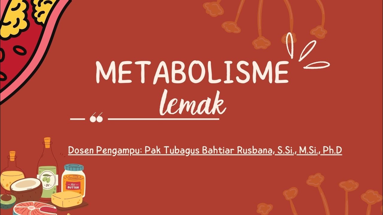 Proses Metabolisme Lemak - YouTube