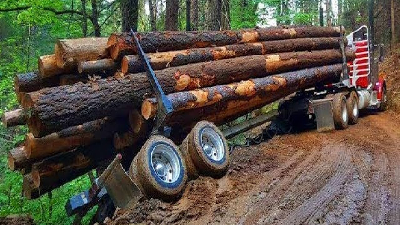 Extreme Dangerous Logging Truck Operator Skill - Wood Tractor Heavy ...