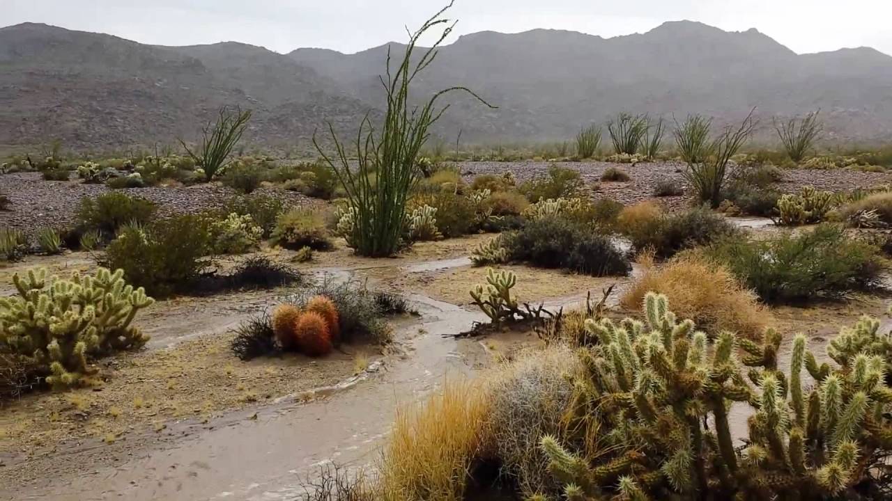 Exploring Desert Rain / Flash Flood (making of) - YouTube