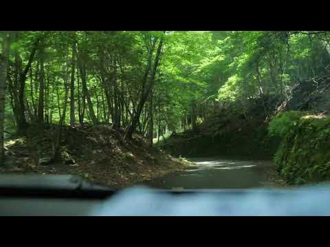 【4K60P】一ノ瀬林道（2023年6月20日） - YouTube